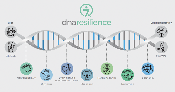 DNA Resilience :: MUDr. Dominika Danielová, CFMP